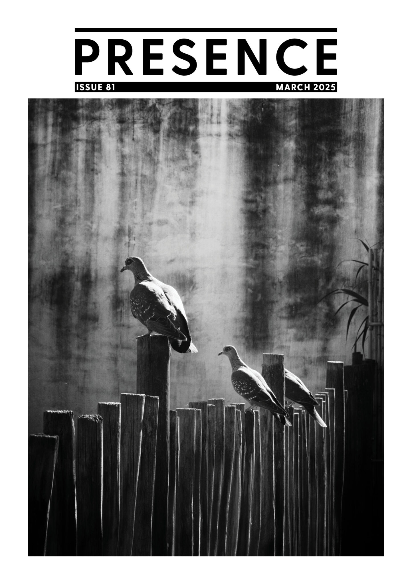 Presence | » Presence 81
